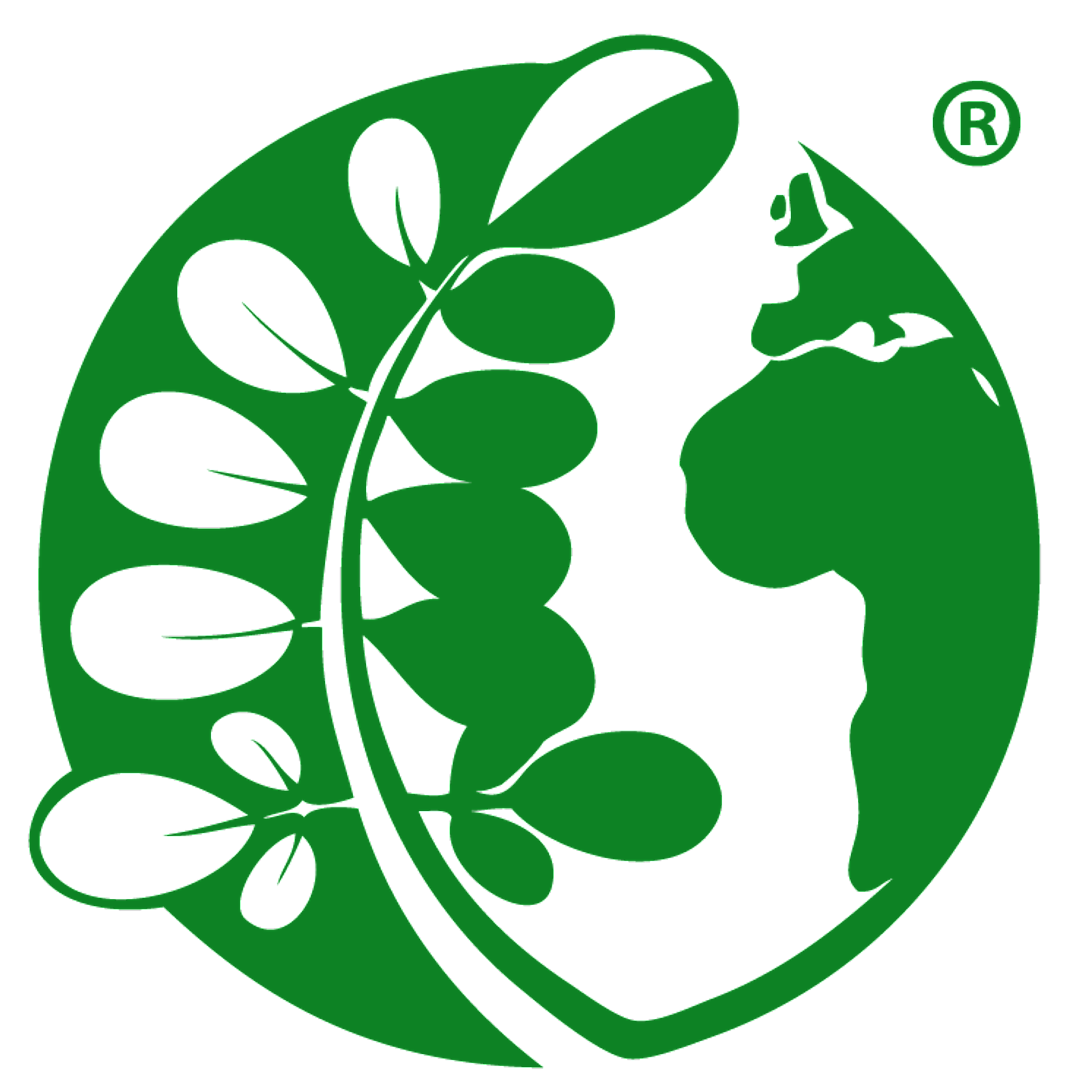 ECHO Logo Icon for Web | ECHOcommunity.org