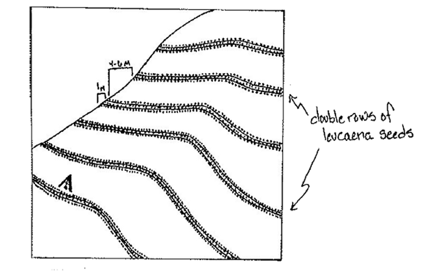 Hillside Techniques | ECHOcommunity.org