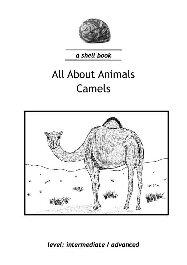 All About Animals - Camels | ECHOcommunity.org