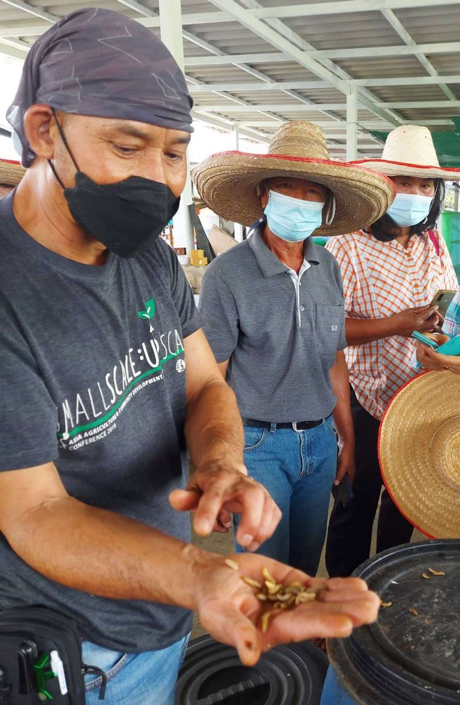 Establishing a Scaled-Up Black Soldier Fly System | ECHOcommunity.org