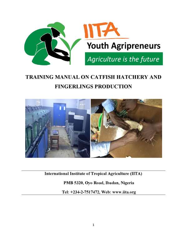 Training Manual on Catfish Hatchery and Fingerlings Production – IITA ...