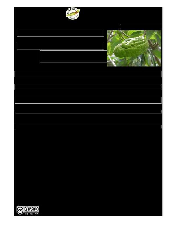 Couepia polyandra | ECHOcommunity.org