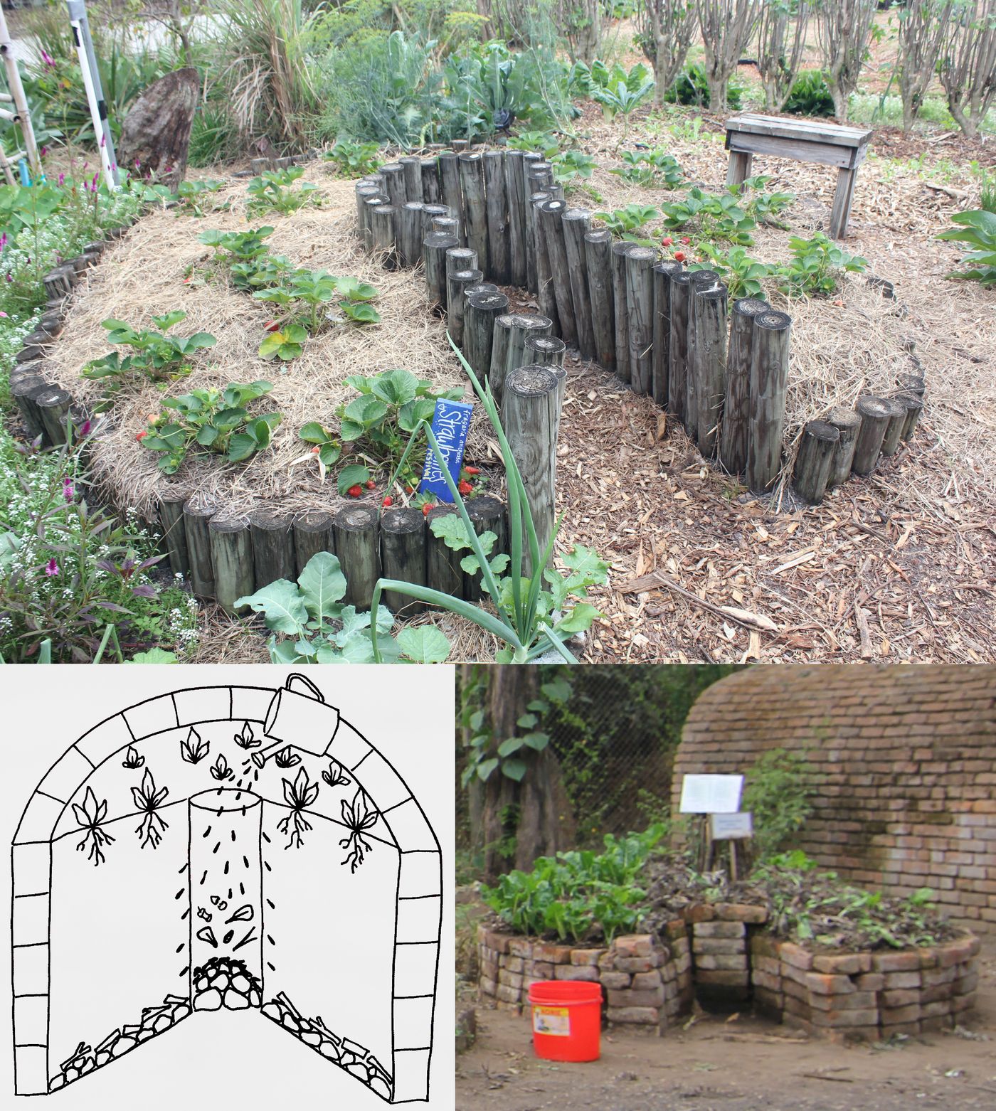 EDN 131 figure 1a - keyhole gardens | ECHOcommunity.org