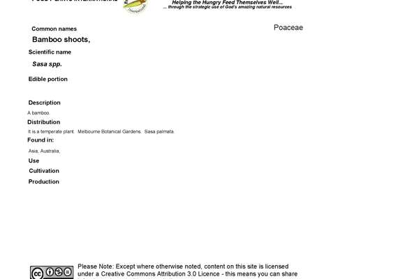 Sasa spp. - Bamboo shoots | ECHOcommunity.org