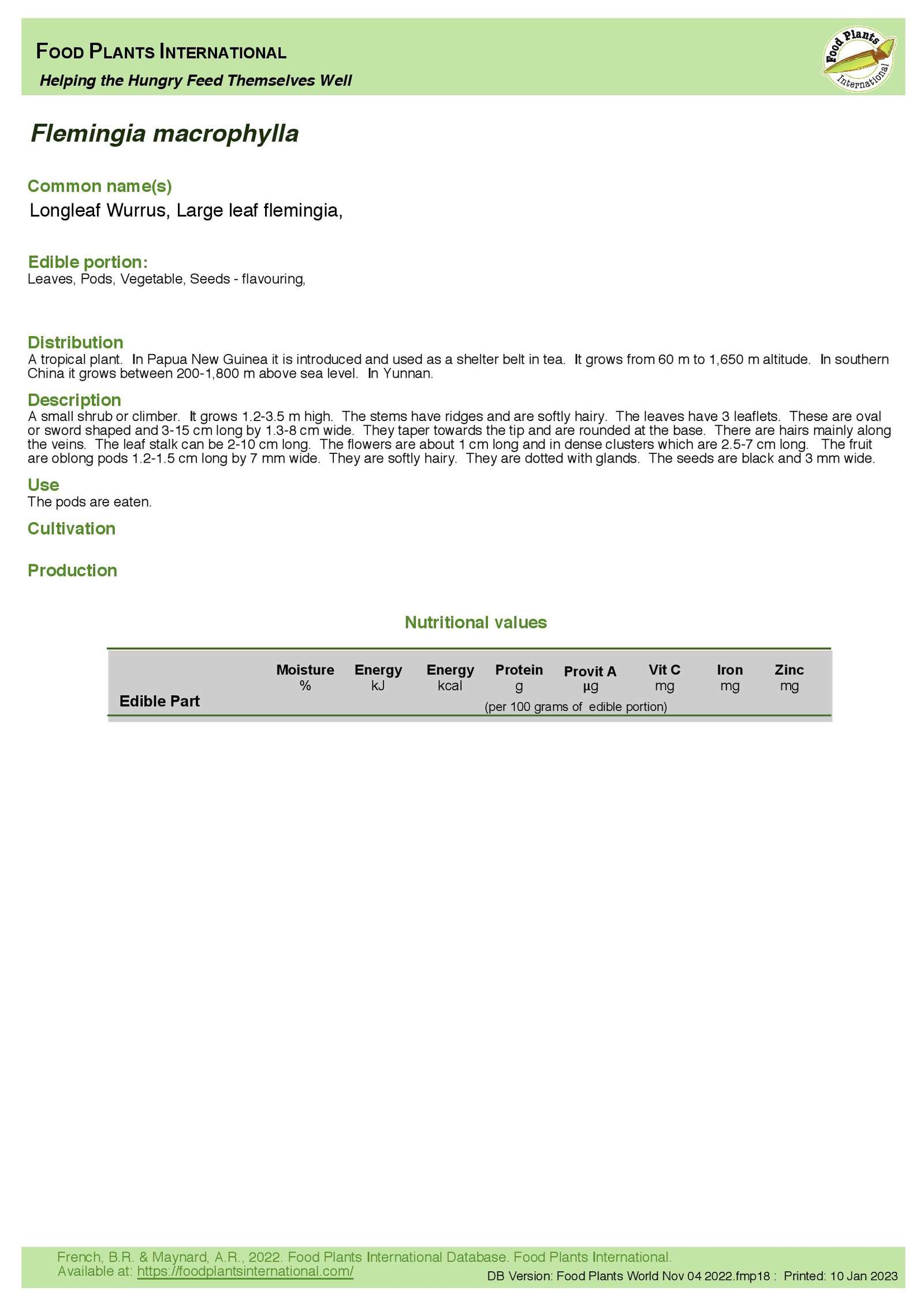 Flemingia macrophylla - Longleaf Wurrus | ECHOcommunity.org