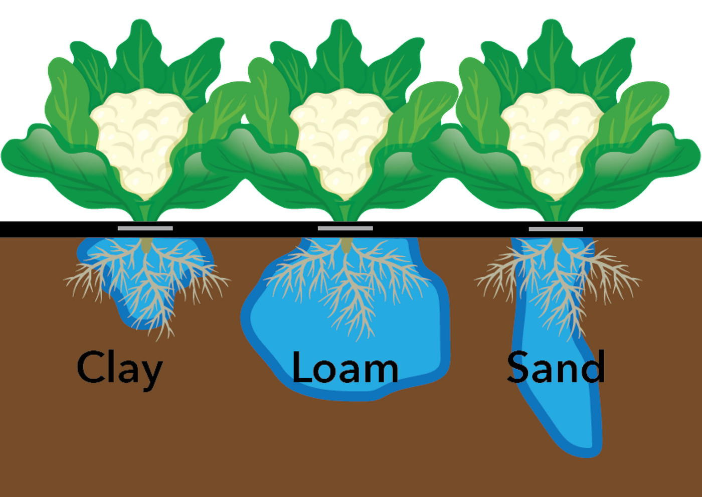 Is Drip Irrigation Right for Me? | ECHOcommunity.org