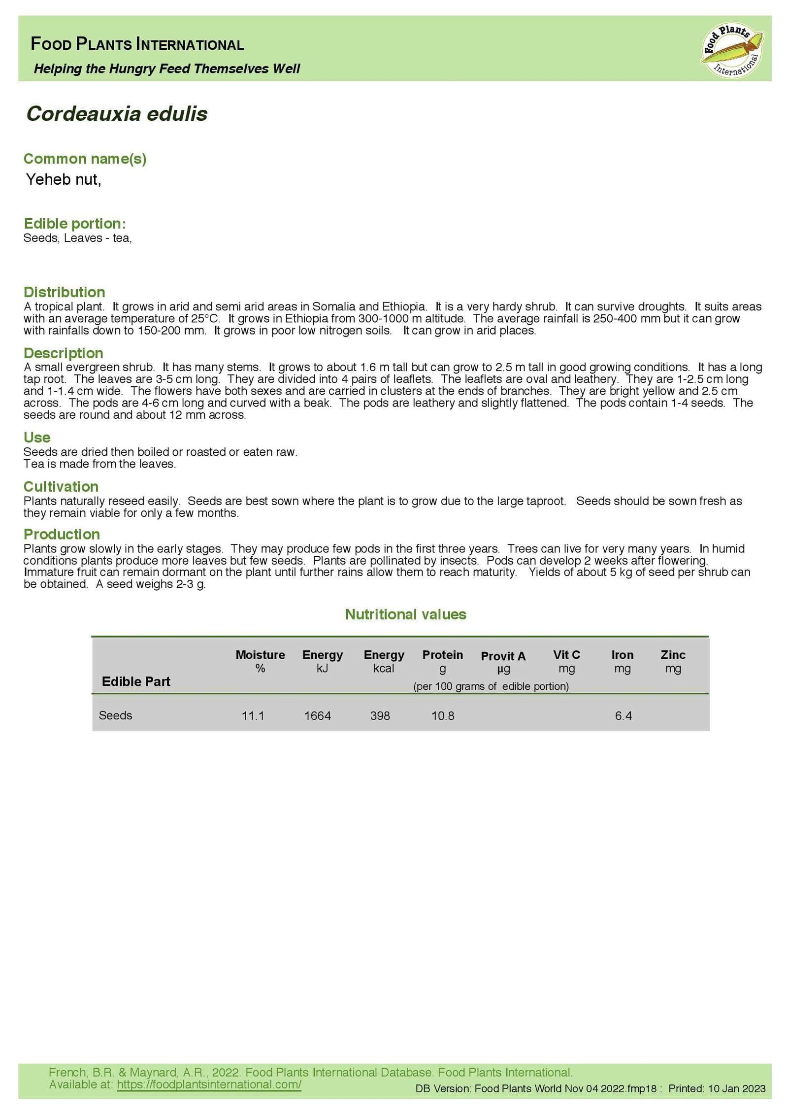 Cordeauxia edulis - Yeheb Nut | ECHOcommunity.org