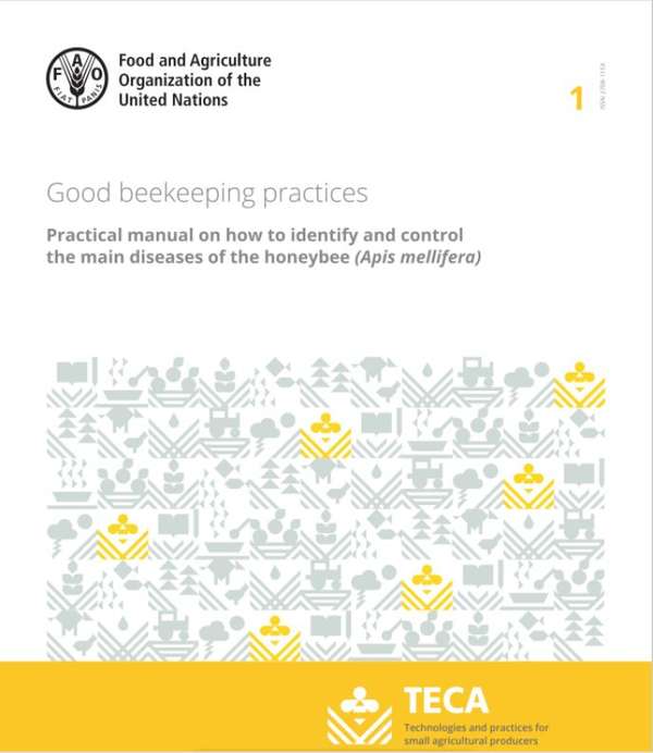 Good Beekeeping Practices | ECHOcommunity.org