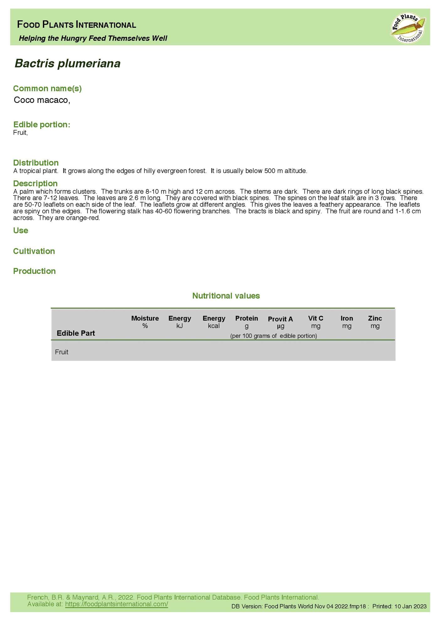 Bactris plumeriana - Coco Macaco | ECHOcommunity.org