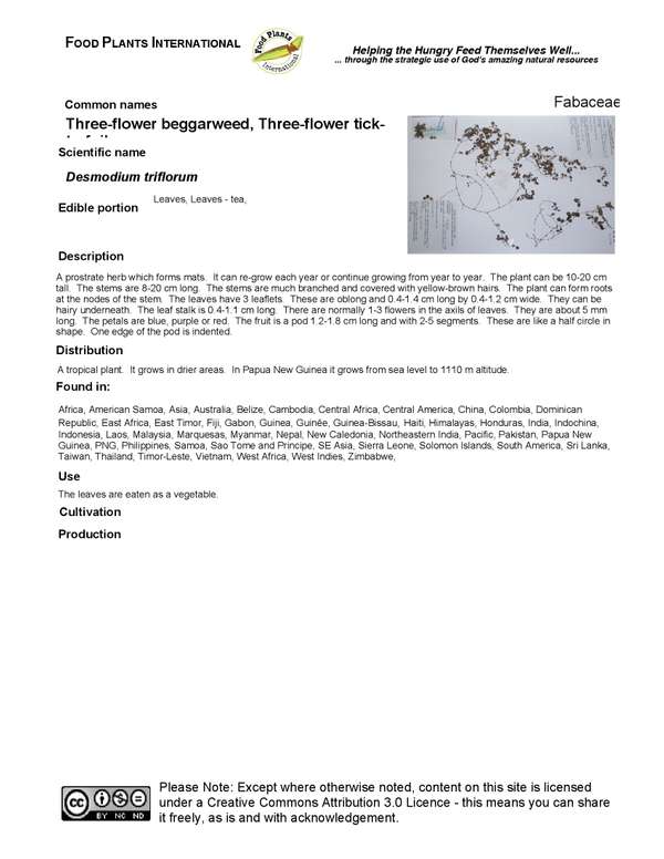 Desmodium triflorum - Three-flower Beggarweed | ECHOcommunity.org