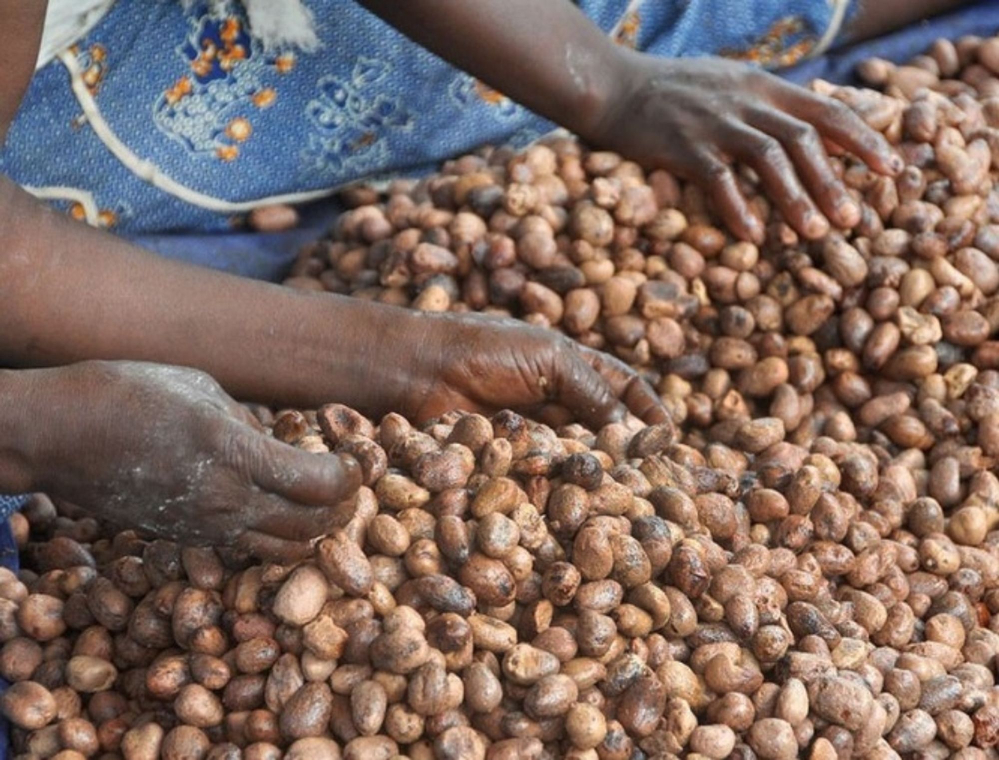 EDN141 fig 2 | ECHOcommunity.org