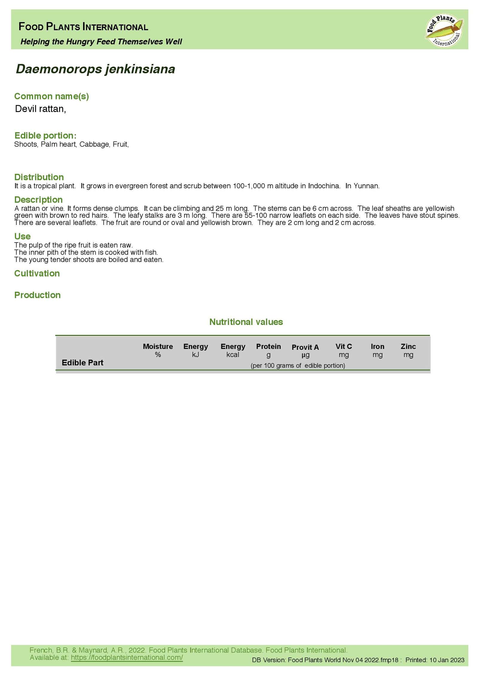 Daemonorops jenkinsiana - Major Jenkins' Rattan Palm | ECHOcommunity.org