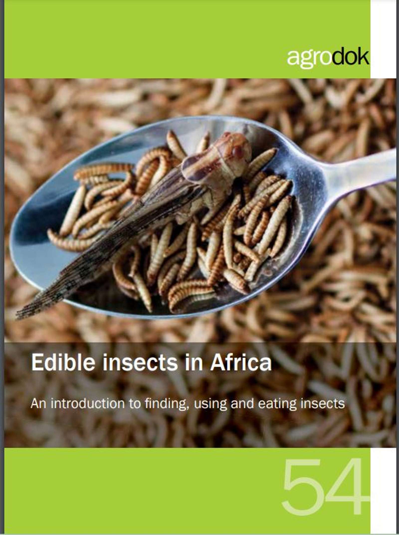 Edible Insects in Africa: An Introduction to Finding, Using and Eating ...