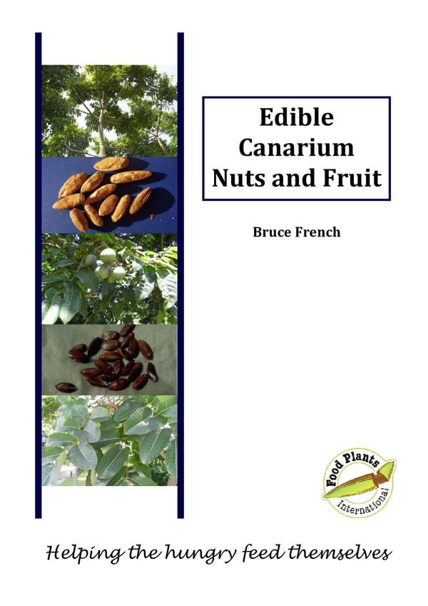 Edible Canarium Nuts and Fruit | ECHOcommunity.org