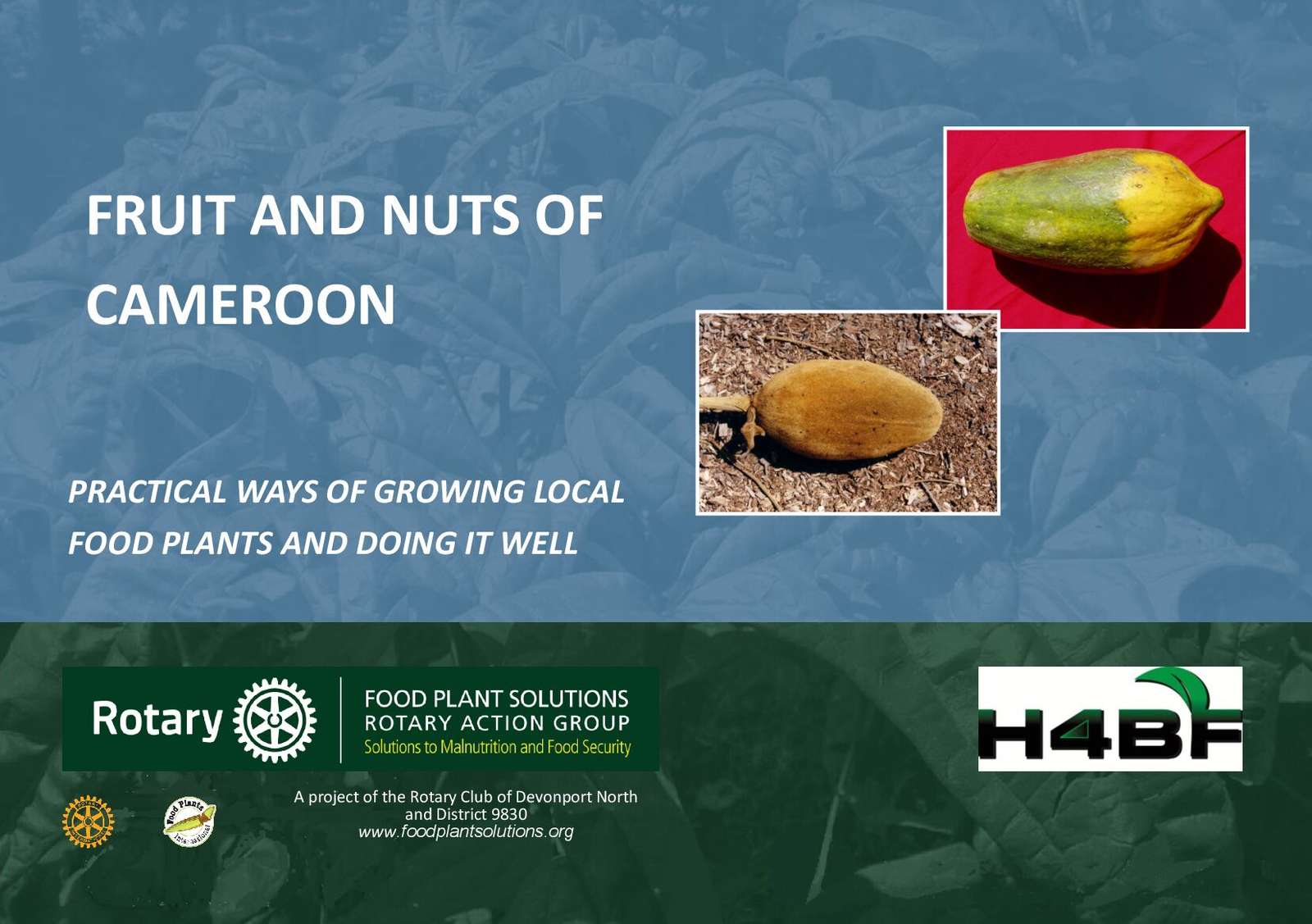 Fruit and Nuts of Cameroon | ECHOcommunity.org