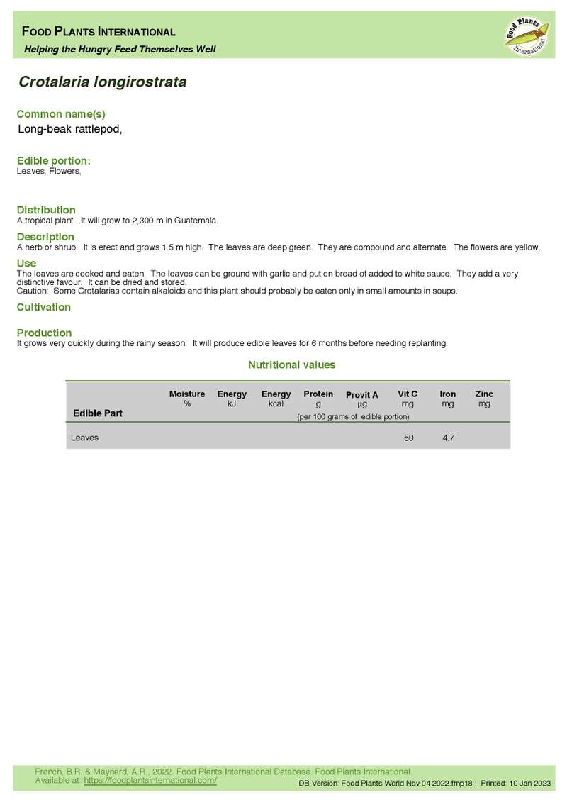 Crotalaria longirostrata - Long-Beak Rattlepod | ECHOcommunity.org
