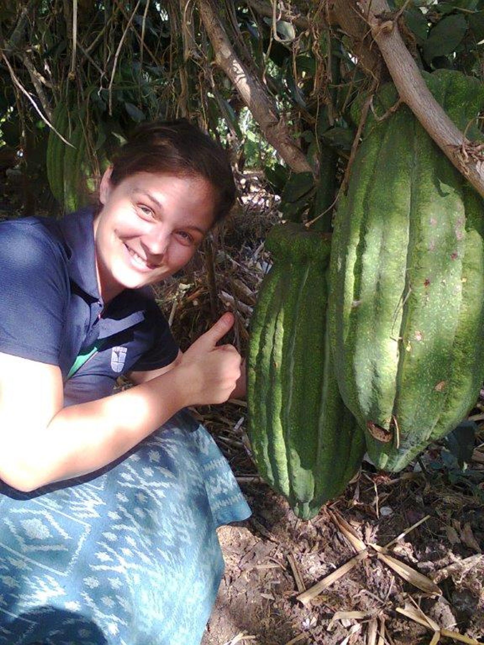 EAN oyster nut fruit | ECHOcommunity.org