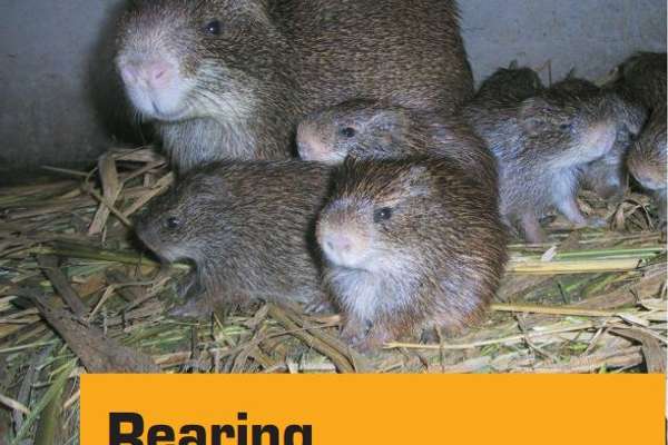 Rearing Grasscutters | ECHOcommunity.org