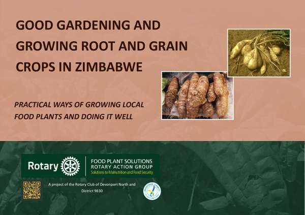 Good Gardening and Growing Root and Grain Crops in Zimbabwe ...