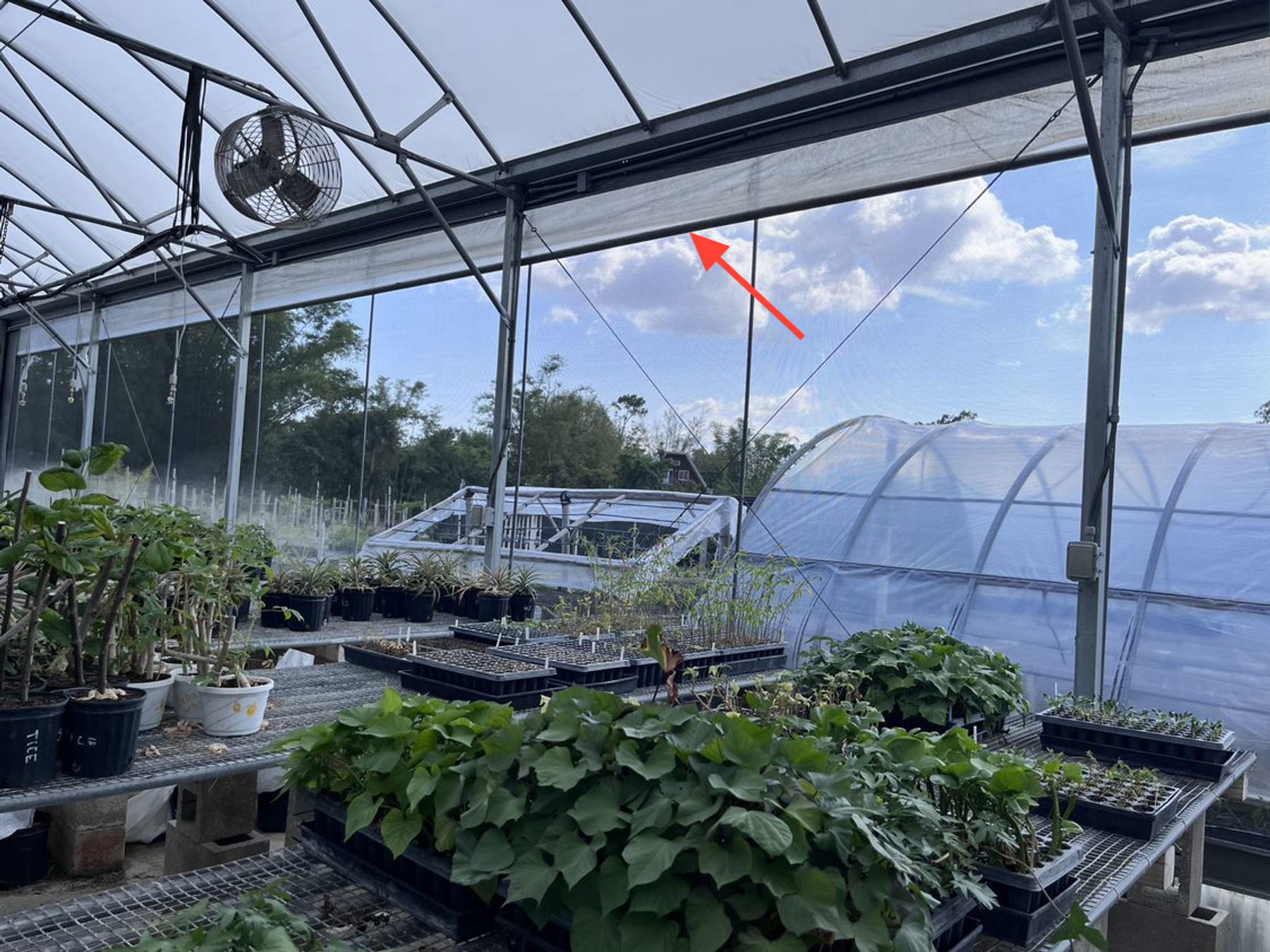 Factors that Impact Seed Germination | ECHOcommunity.org