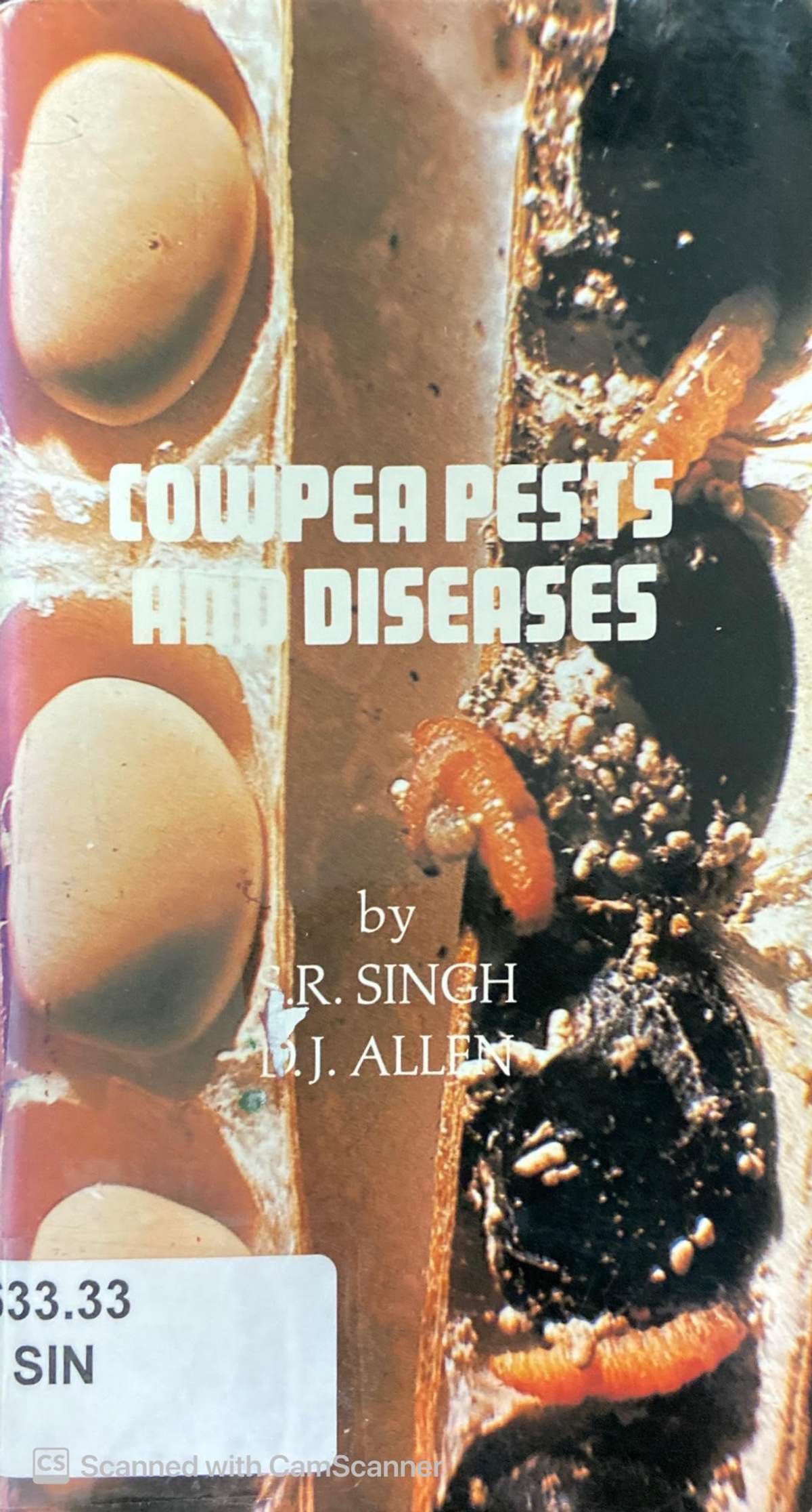 Cowpea pests and diseases | ECHOcommunity.org