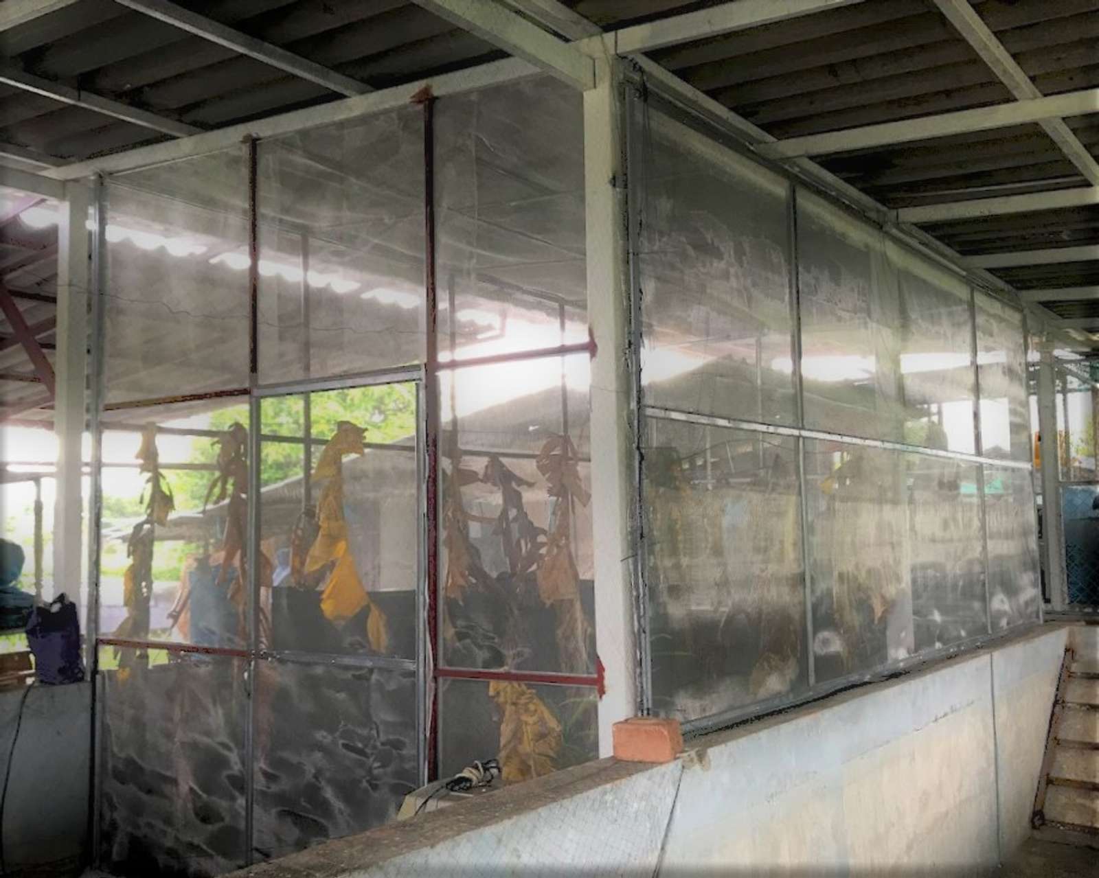 Black Soldier Fly Larvae Production | ECHOcommunity.org