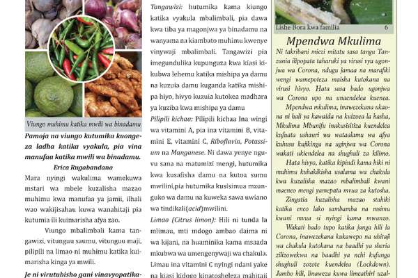 Mkulima Mbunifu | ECHOcommunity.org