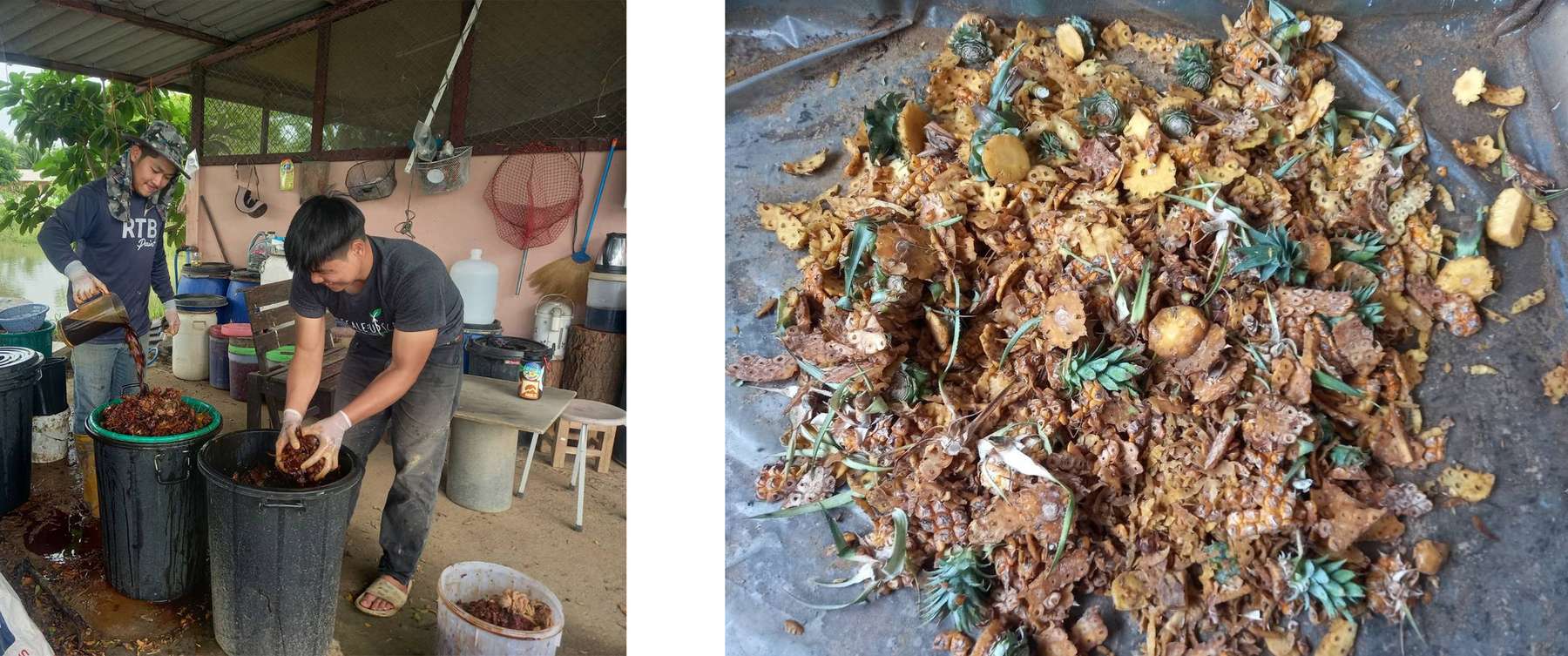 Black Soldier Fly Larvae Production | ECHOcommunity.org