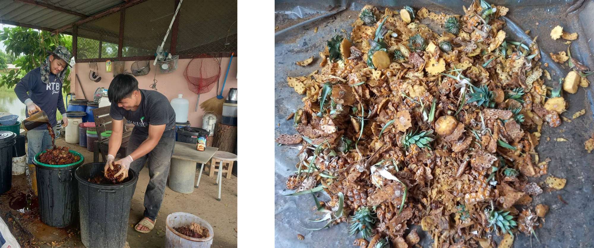 Black Soldier Fly Larvae Production | ECHOcommunity.org