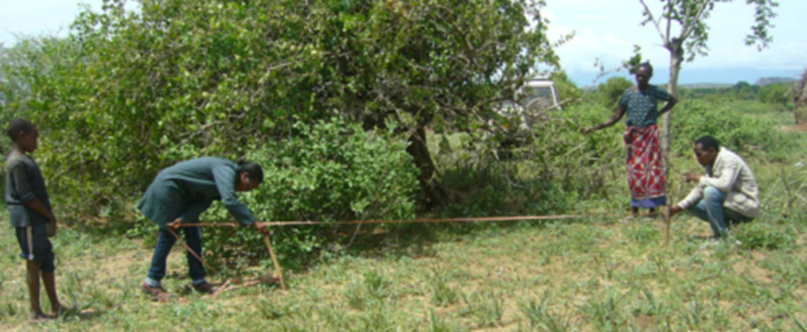 Harvesting Water with Hafirs | ECHOcommunity.org