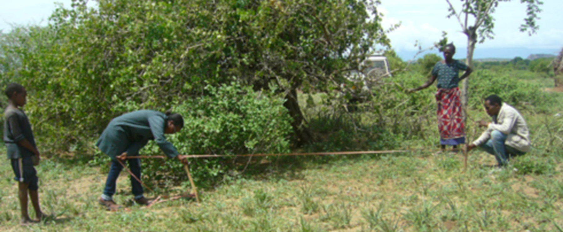 Harvesting Water with Hafirs | ECHOcommunity.org