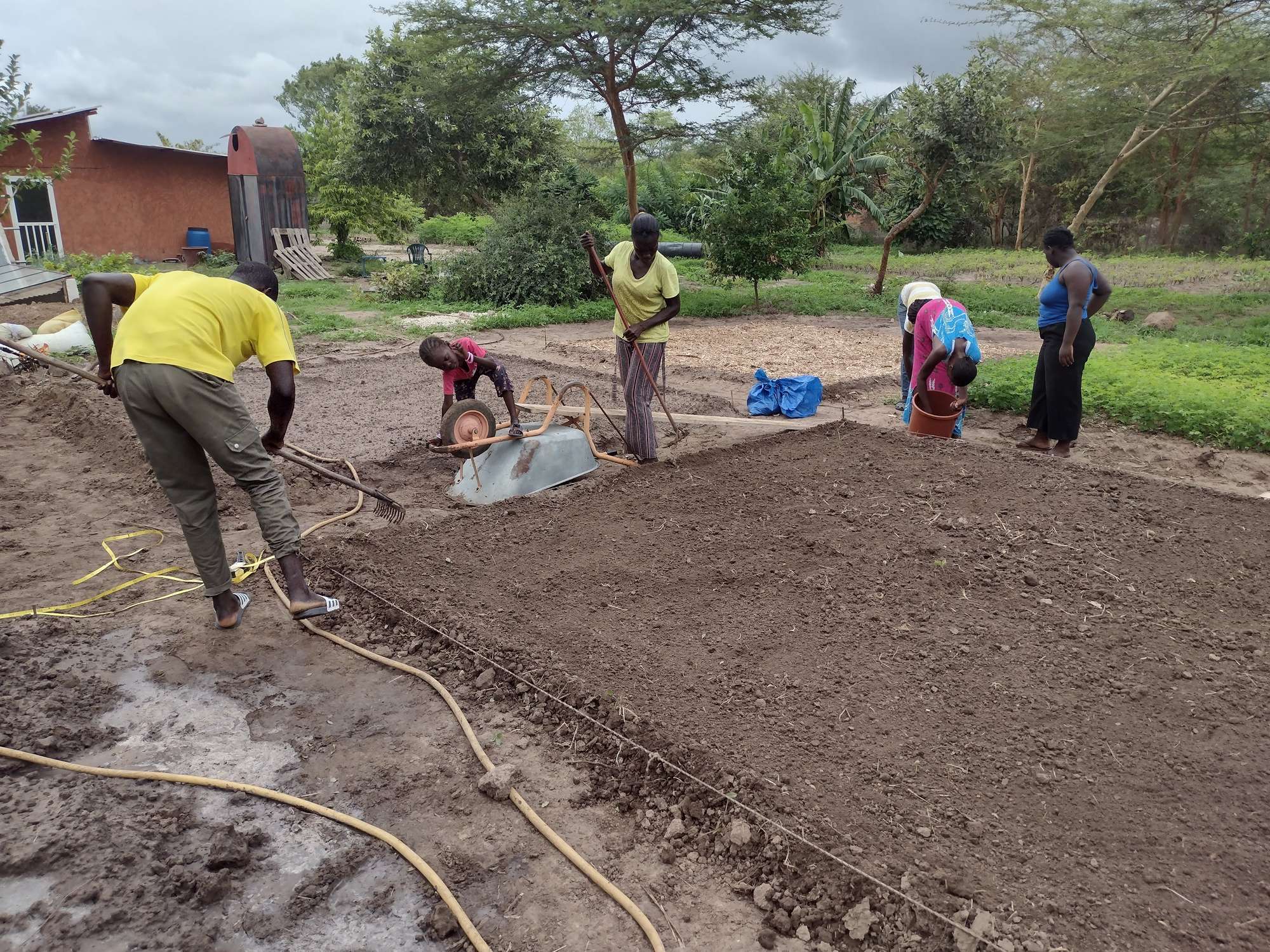 Moringa Spacing Considerations | ECHOcommunity.org