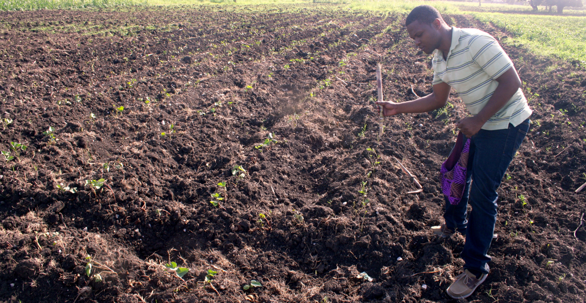 Haitian Agriculture Student Works In His Field (Wide) | ECHOcommunity.org