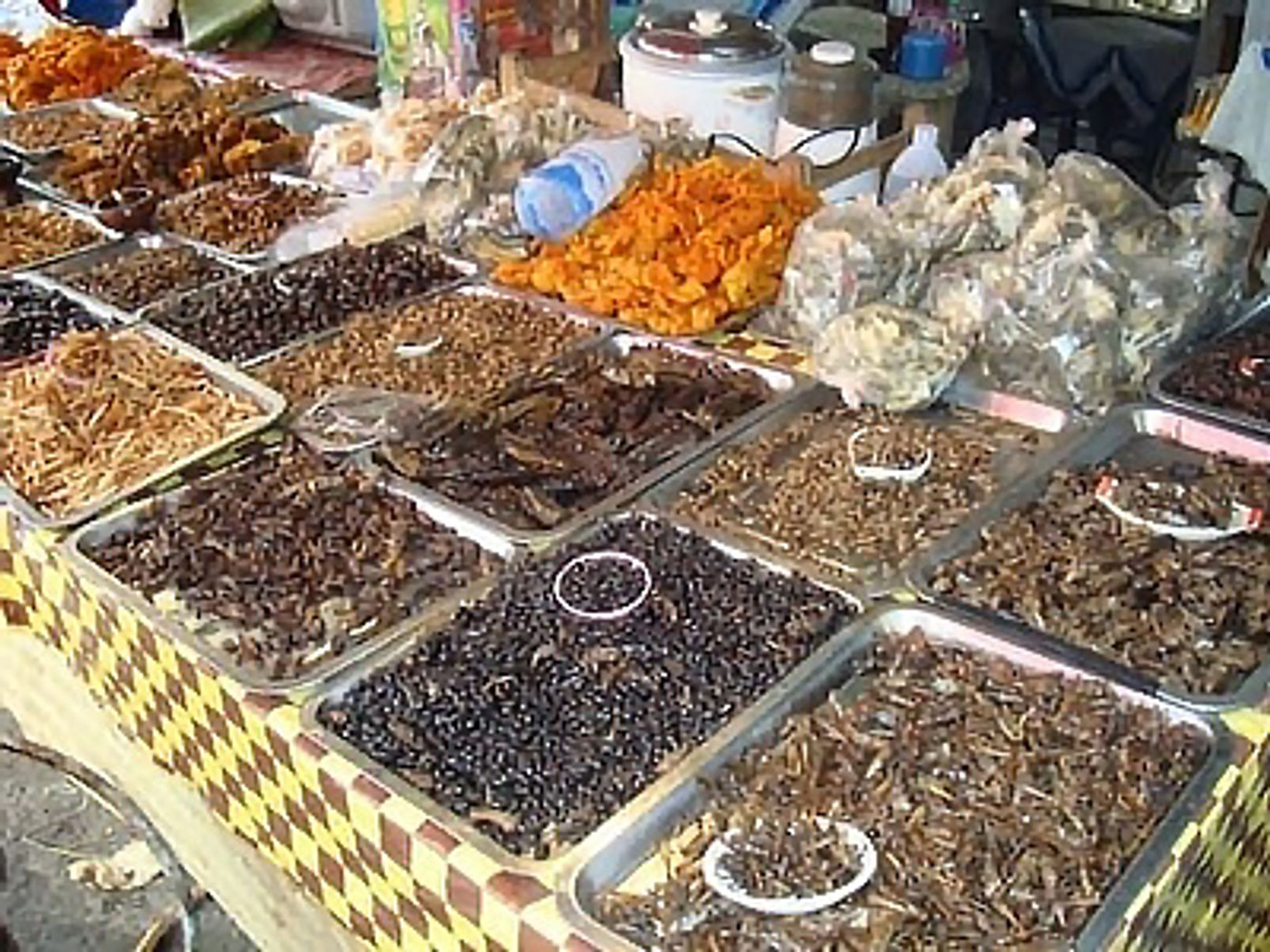 EDN 137 Figure 1 | ECHOcommunity.org