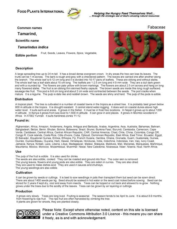 Tamarindus indica - Tamarind | ECHOcommunity.org