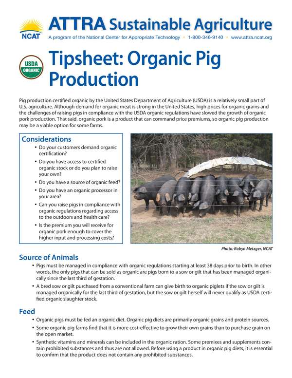 Tipsheet: Organic Pig Production | ECHOcommunity.org