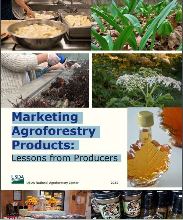 Marketing Agroforestry Products: Lessons from Producers | ECHOcommunity.org