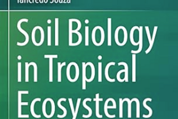 Soil Biology in Tropical Ecosystems | ECHOcommunity.org