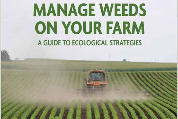 Manage Weeds On Your Farm: A Guide to Ecological Strategies ...