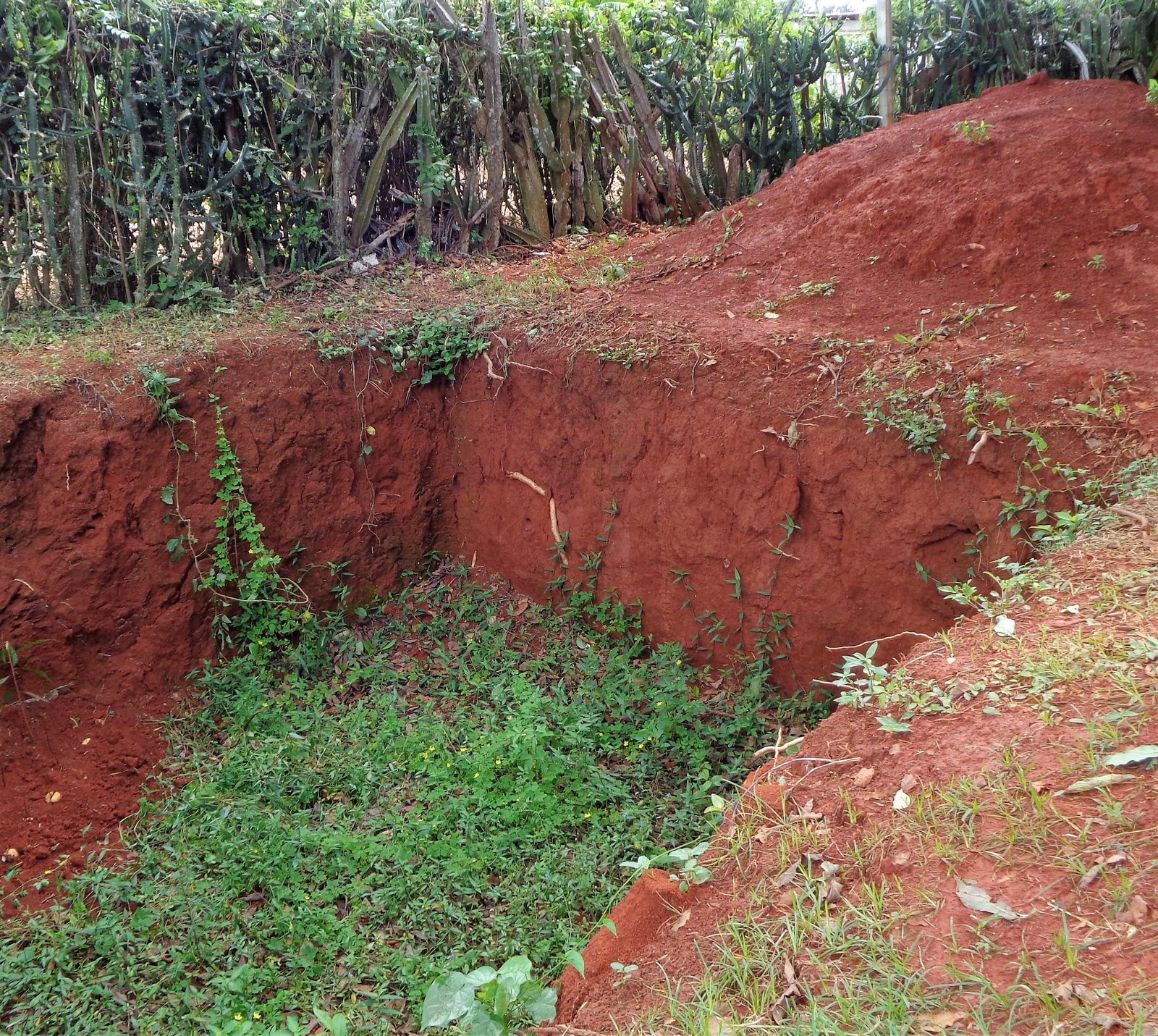 Cuban Farmer - Soil | ECHOcommunity.org