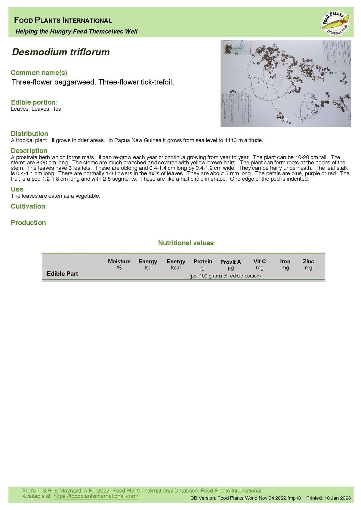 Desmodium triflorum - Three-Flower Beggarweed | ECHOcommunity.org
