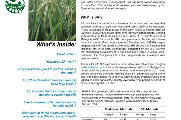 SRI, the System of Rice Intensification: Less Can be More ...