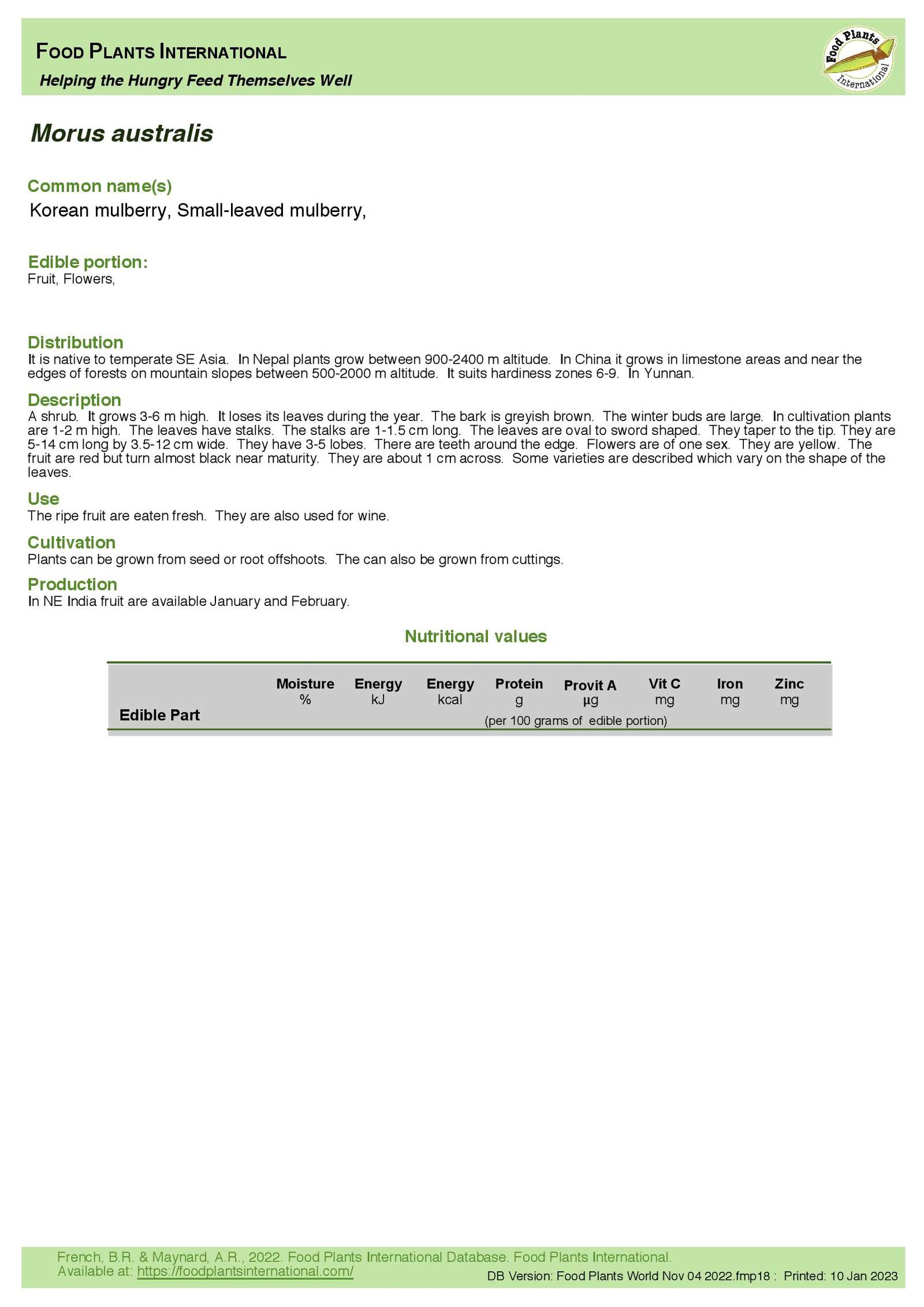Morus australis - Korean Mulberry | ECHOcommunity.org